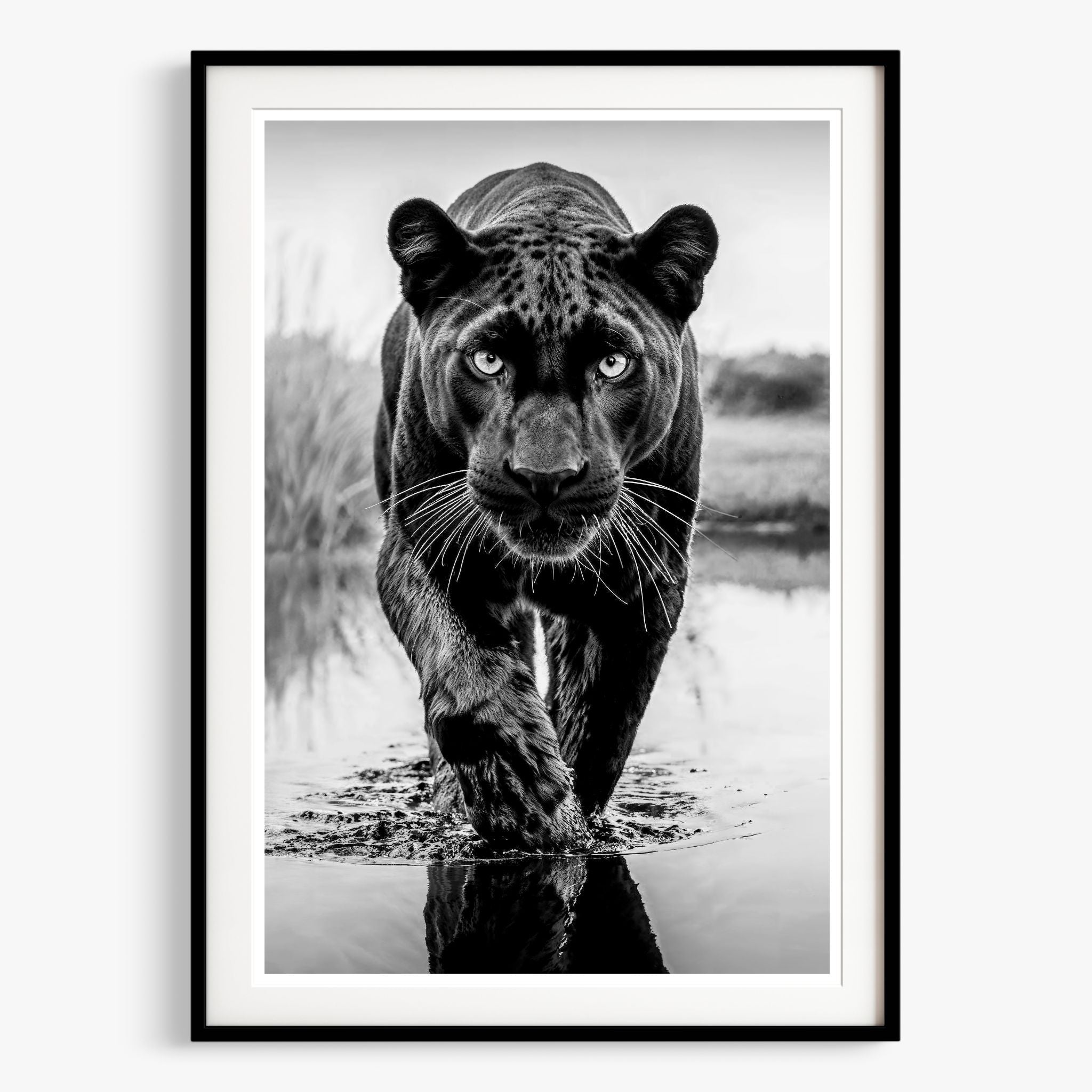 BlancStudio | T'Challa - Black and White Print of a Black Panther ...